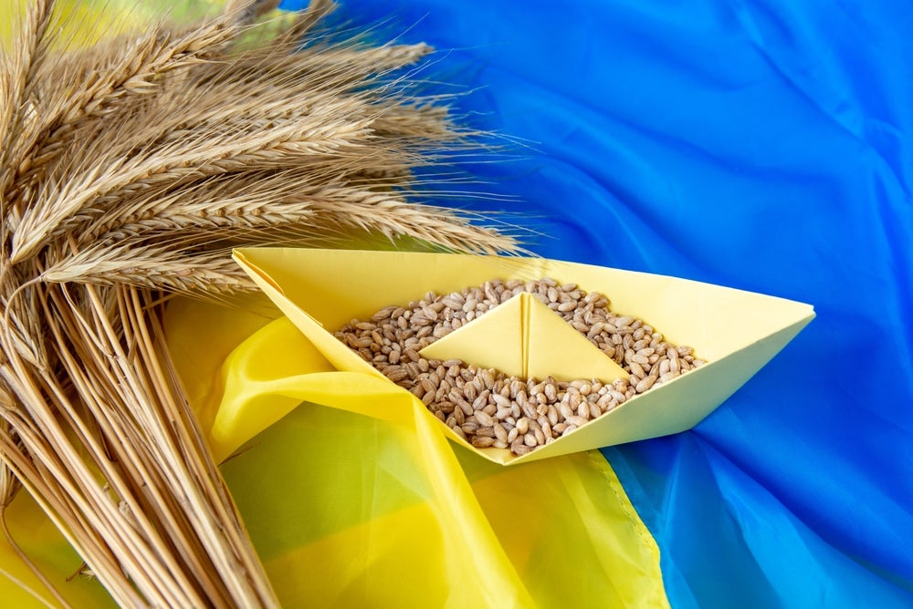 Food Security: The Role and Limits of International Rules on Export ...