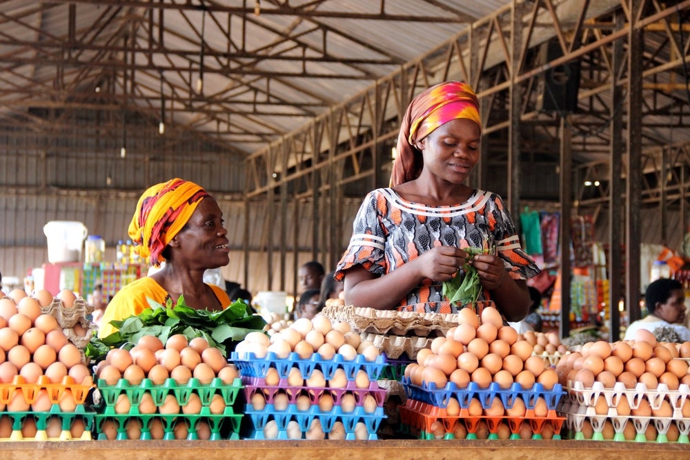 Making Trade Safer for Women Cross-Border Traders in Mozambique and ...