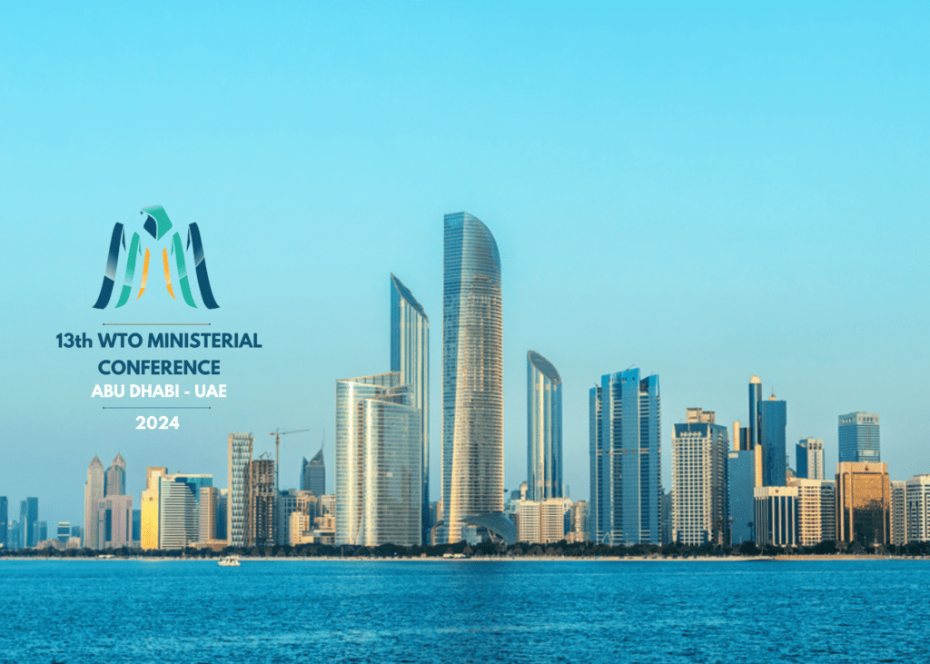 Preview of the World Trade Organization's 2024 Ministerial Conference ...