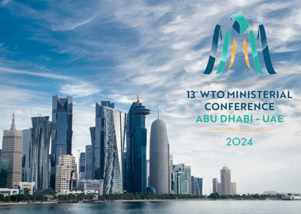 Debrief on WTO MC13 - WITA