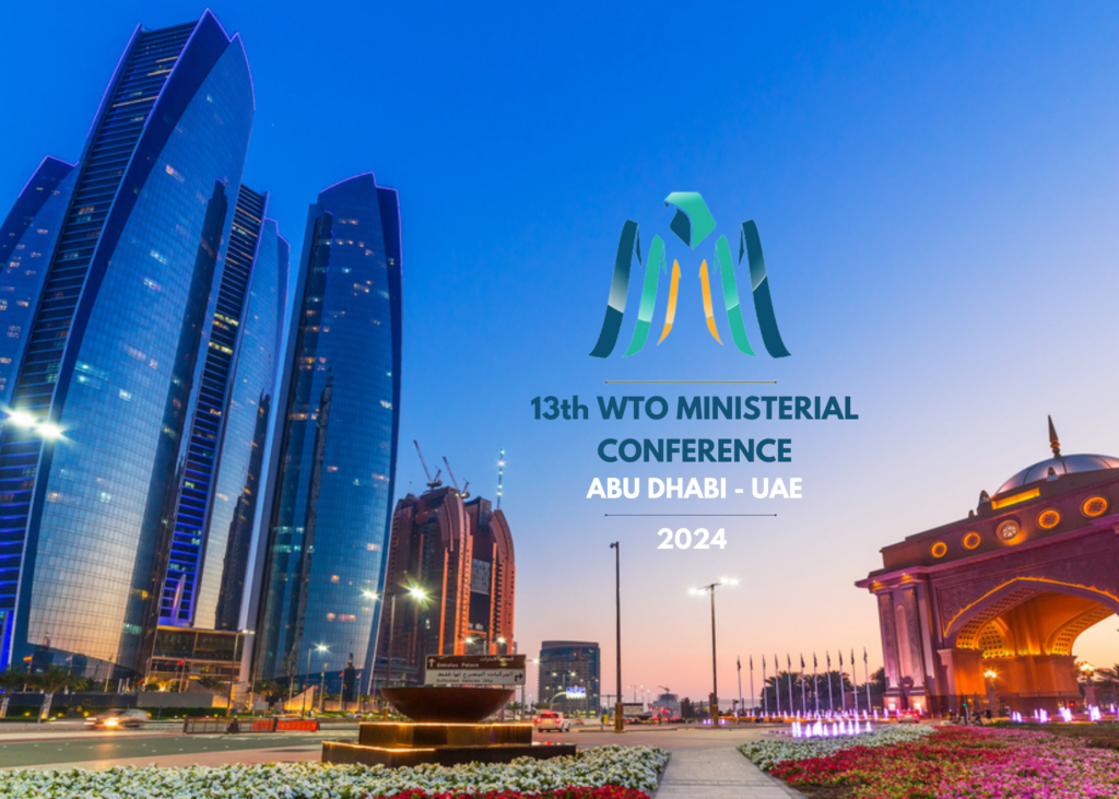 Future-Proofing the World Trade Organization - WITA