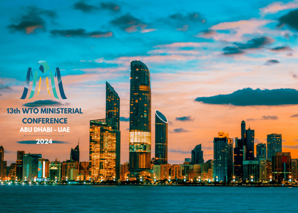 Six Takeaways From WTO MC13 - WITA