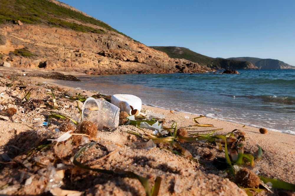 Waste to Wealth: Unlocking Circular Value Chains - WITA